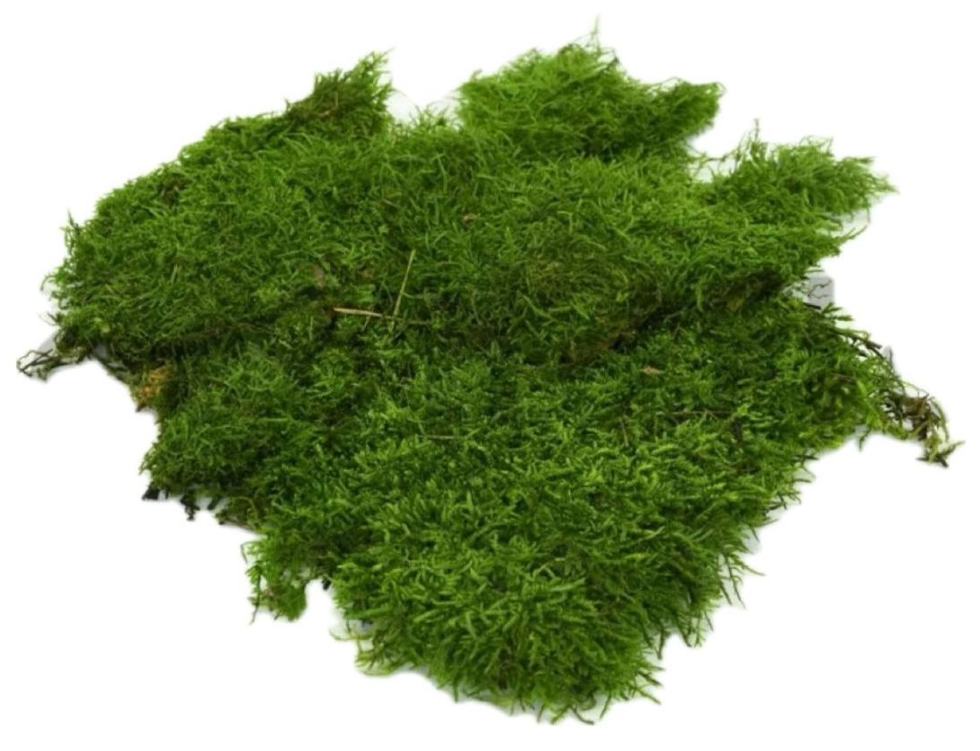 Stabilizovaný mach plochý